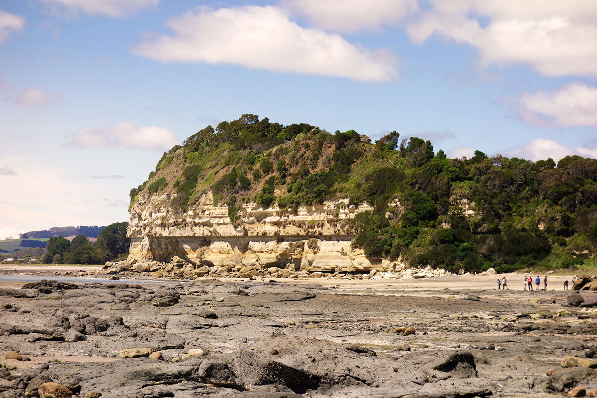 Six Day/Five Night Fully Guided Package - Rare Earth Tasmania