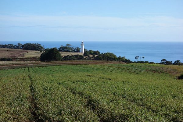 Table Cape Lighthouse - Rare Earth Tasmania