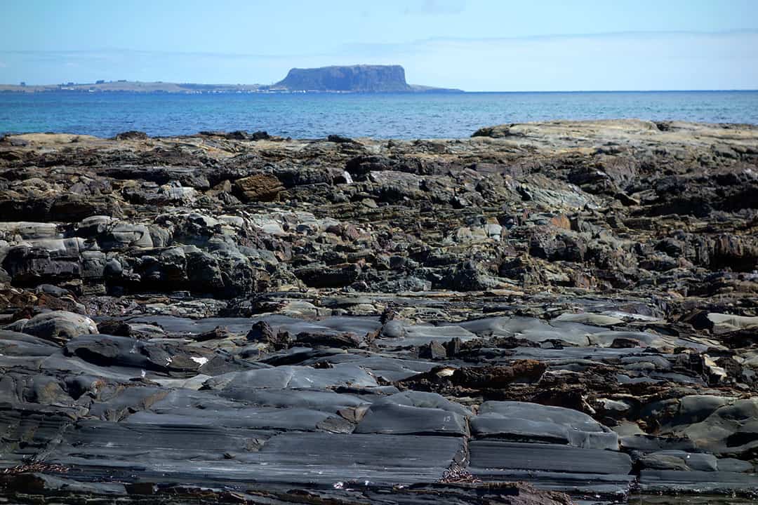 The Nut - Rare Earth Tasmania