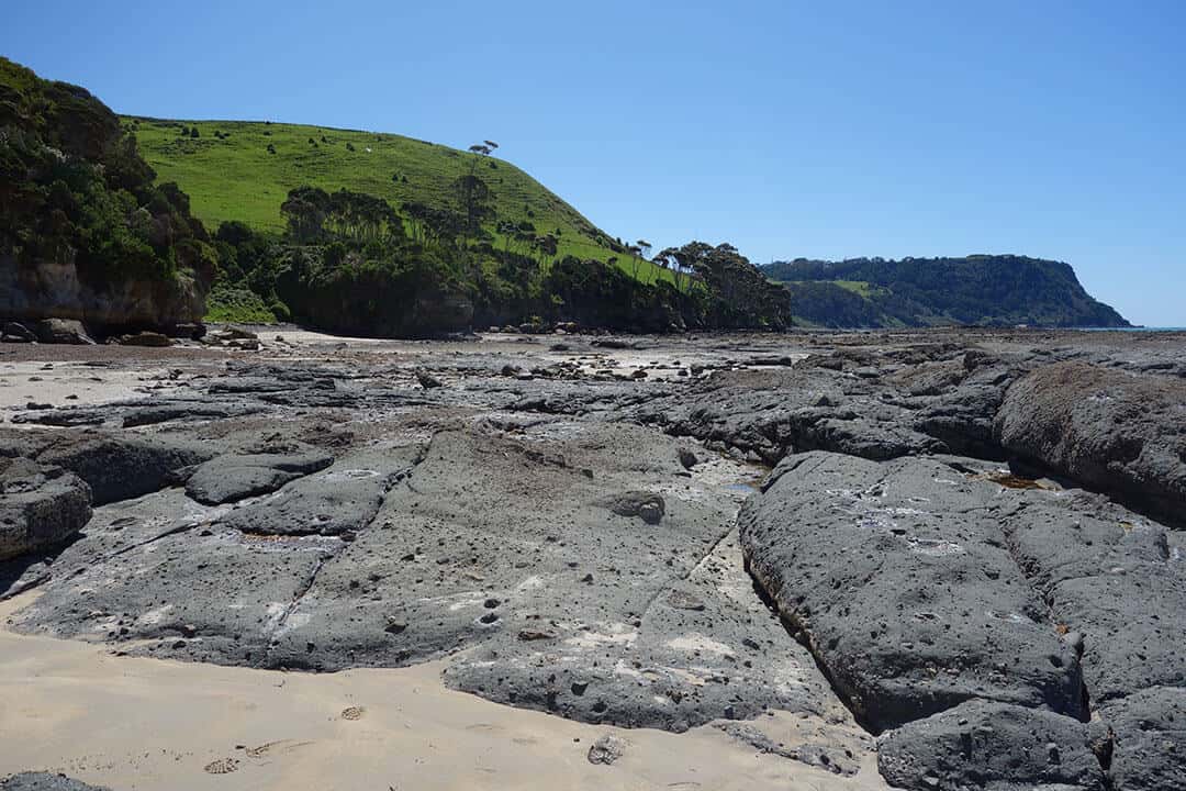 With Table Cape in the Background - Rare Earth Tasmania